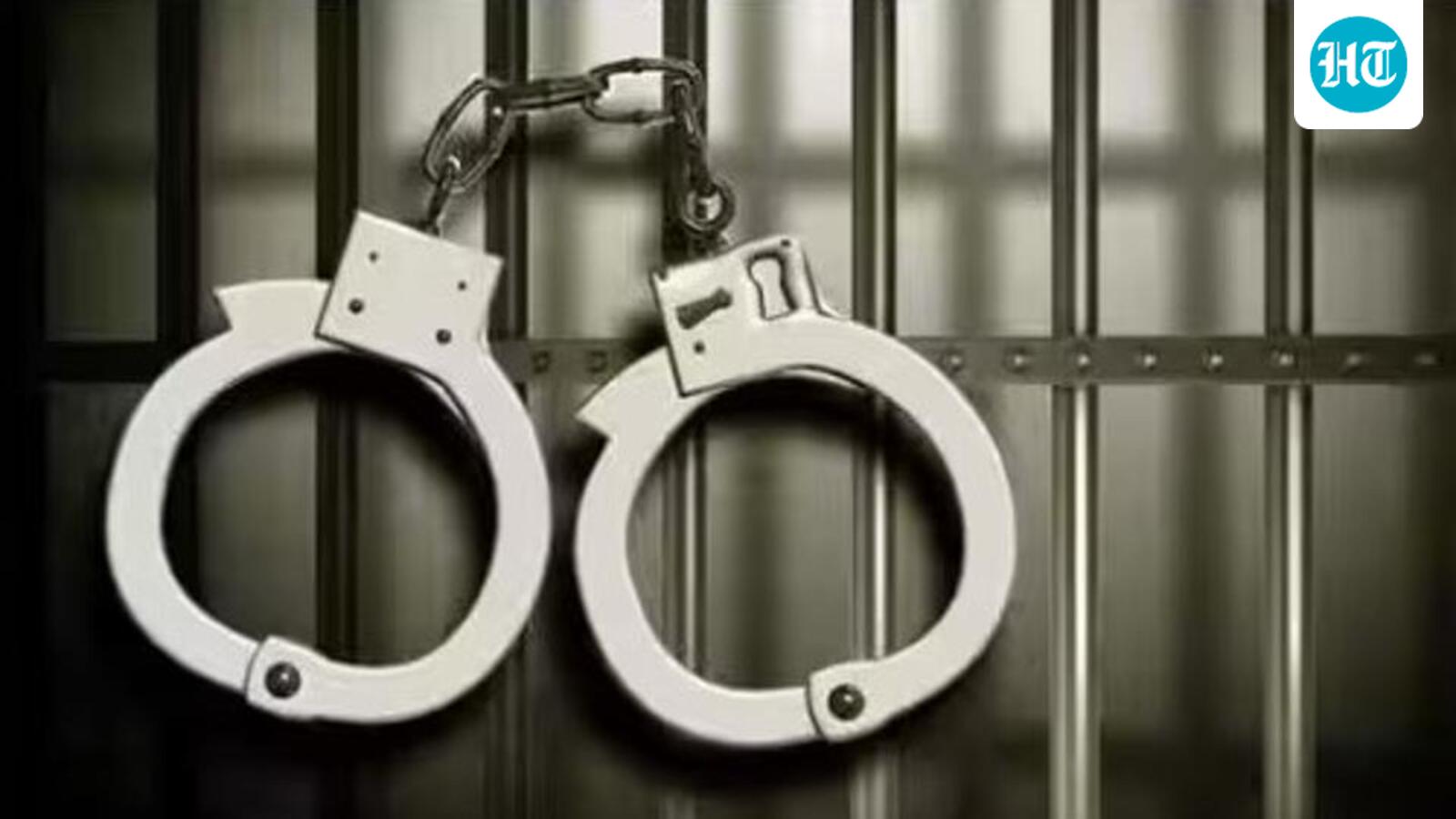 Hizbul terrorist’s father among two arrested in Kishtwar; arms ...
